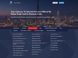 What is Import and Export Custom Code in UAE? Complete Guide - Infibiz